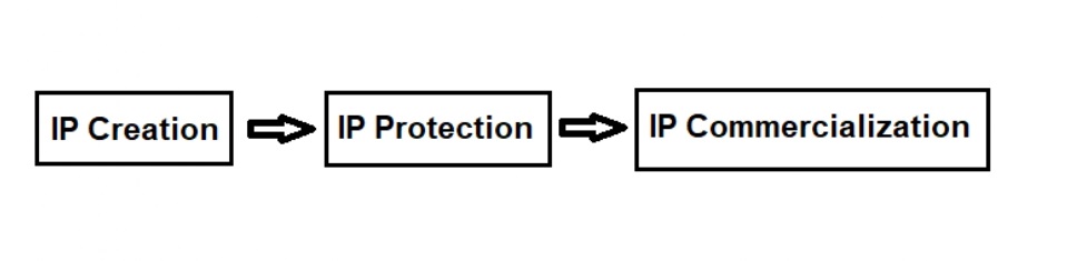 Andhra University | Department of Intelluctual Property Rights